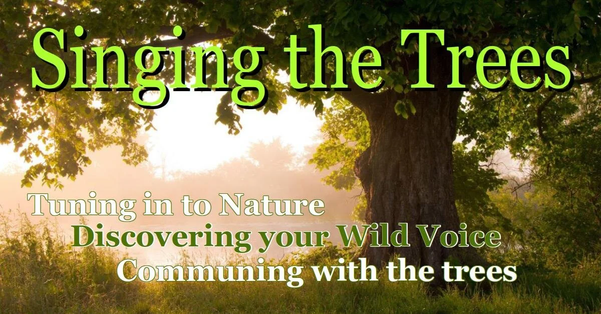 Events — Heart Of Living Yoga