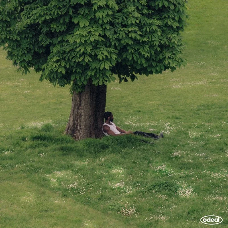 I Be Music | Music Plugging