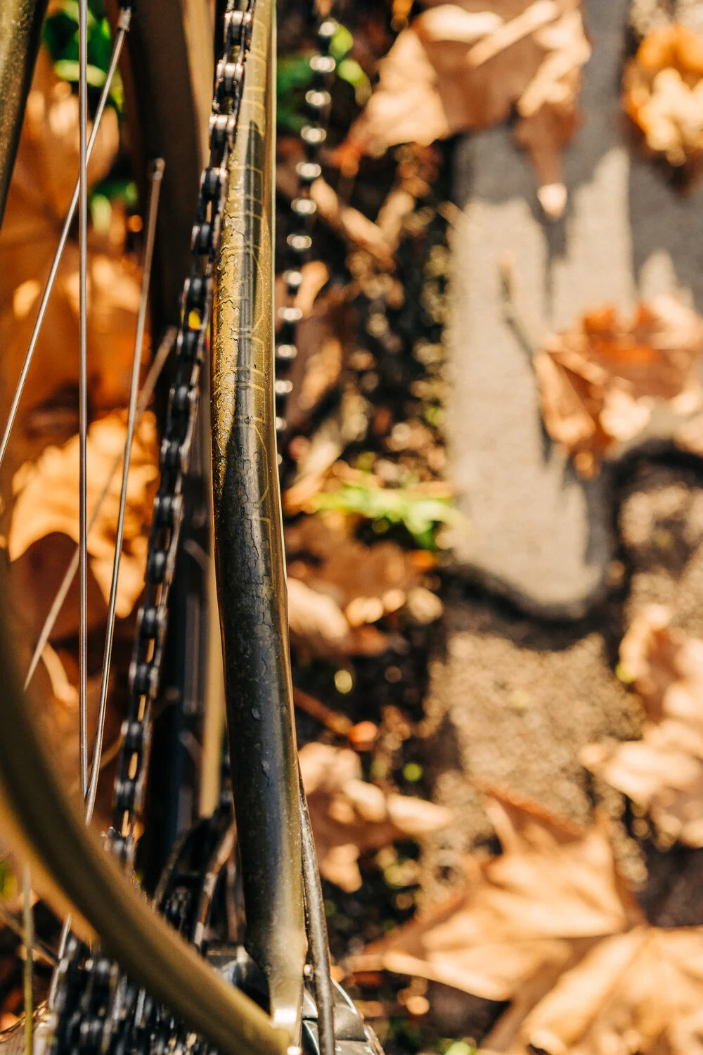 6 years and counting with Andy Rogers. — Speedvagen