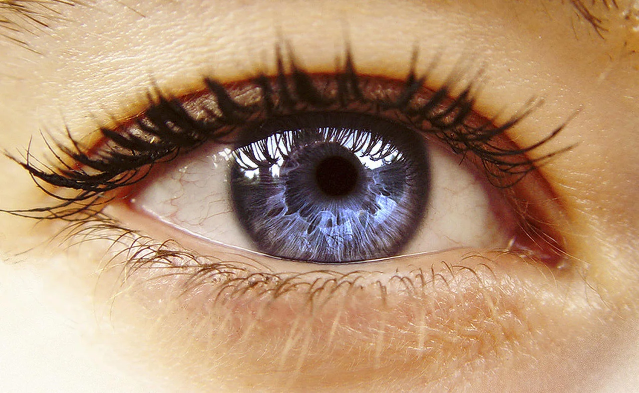 International Iridology Practitioners Association