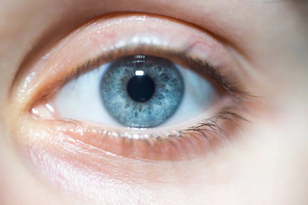 International Iridology Practitioners Association