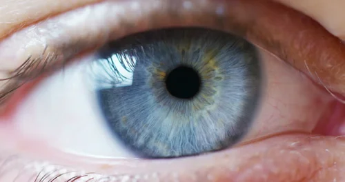 International Iridology Practitioners Association