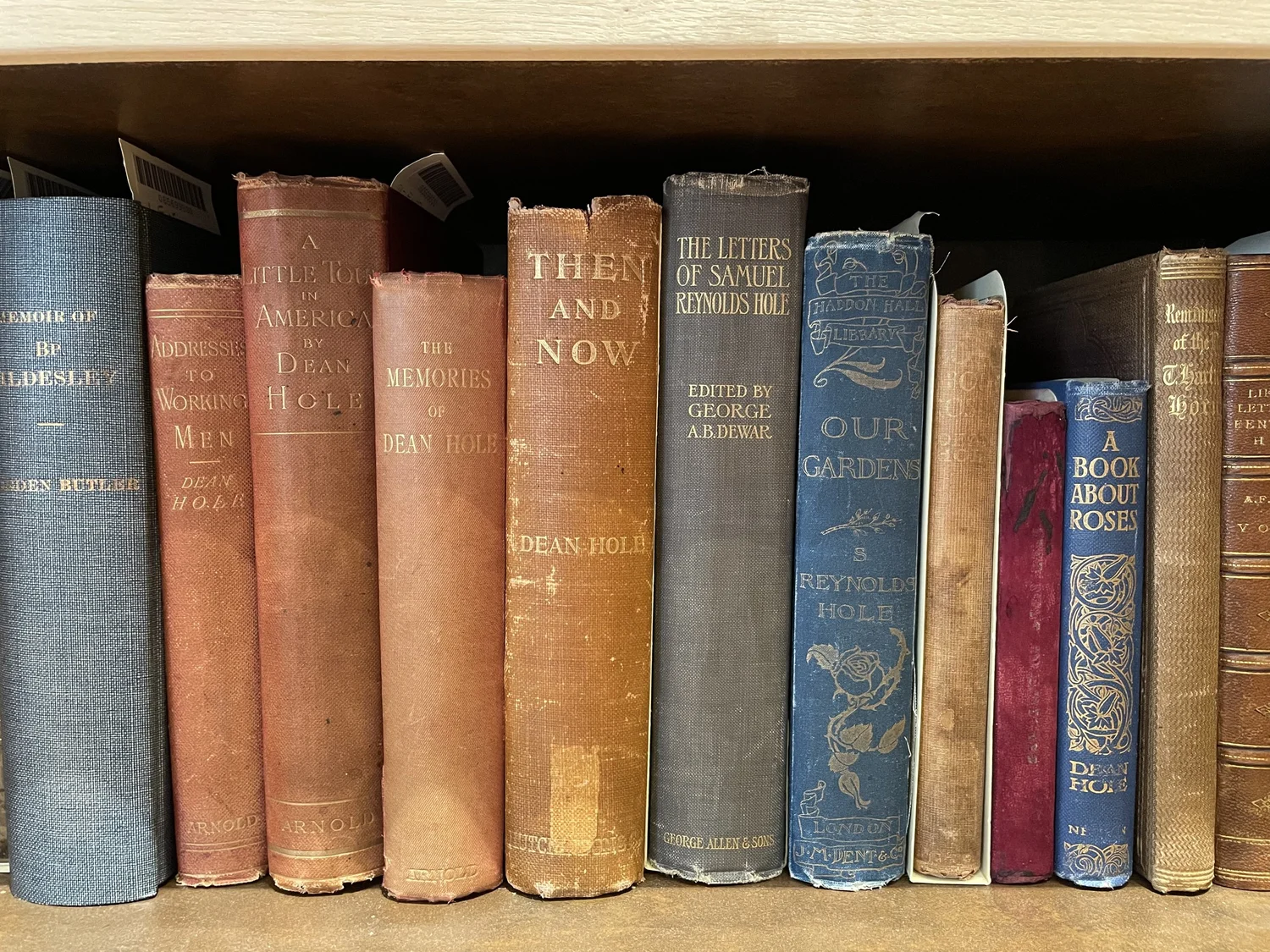 Dean Reynolds Hole: King of the Roses — Rochester Cathedral
