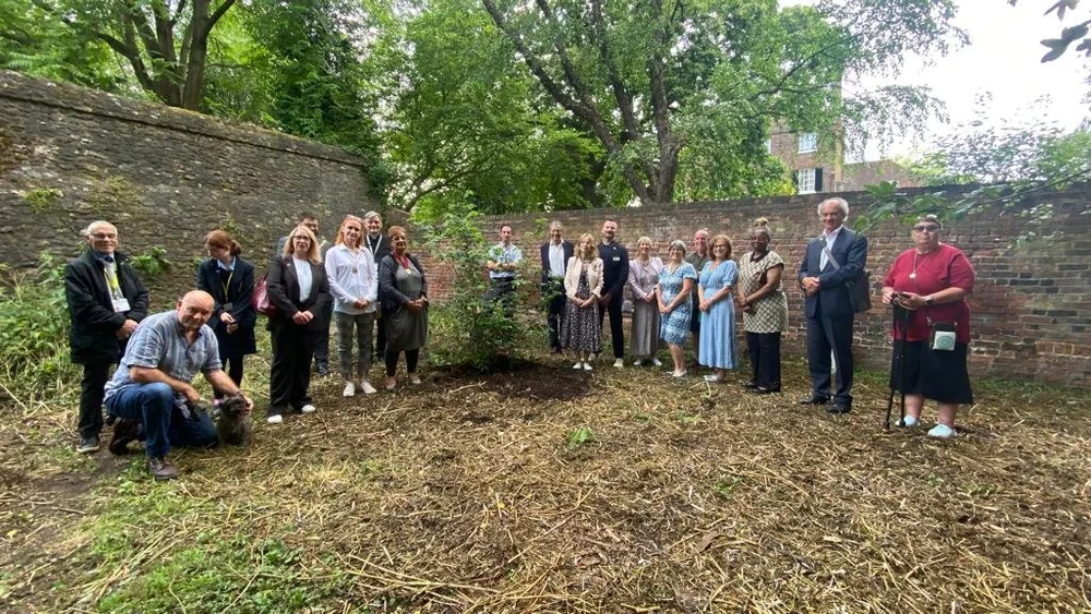 Platinum Jubilee Tree planted at Rochester Cathedral — Rochester Cathedral