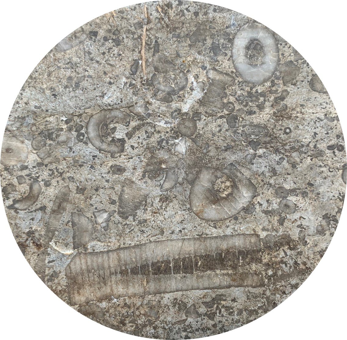 Altar slab, 19th century — Rochester Cathedral