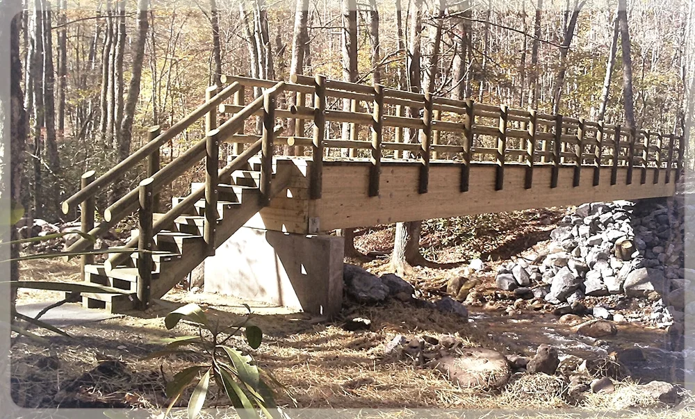 Forest Service Bridges