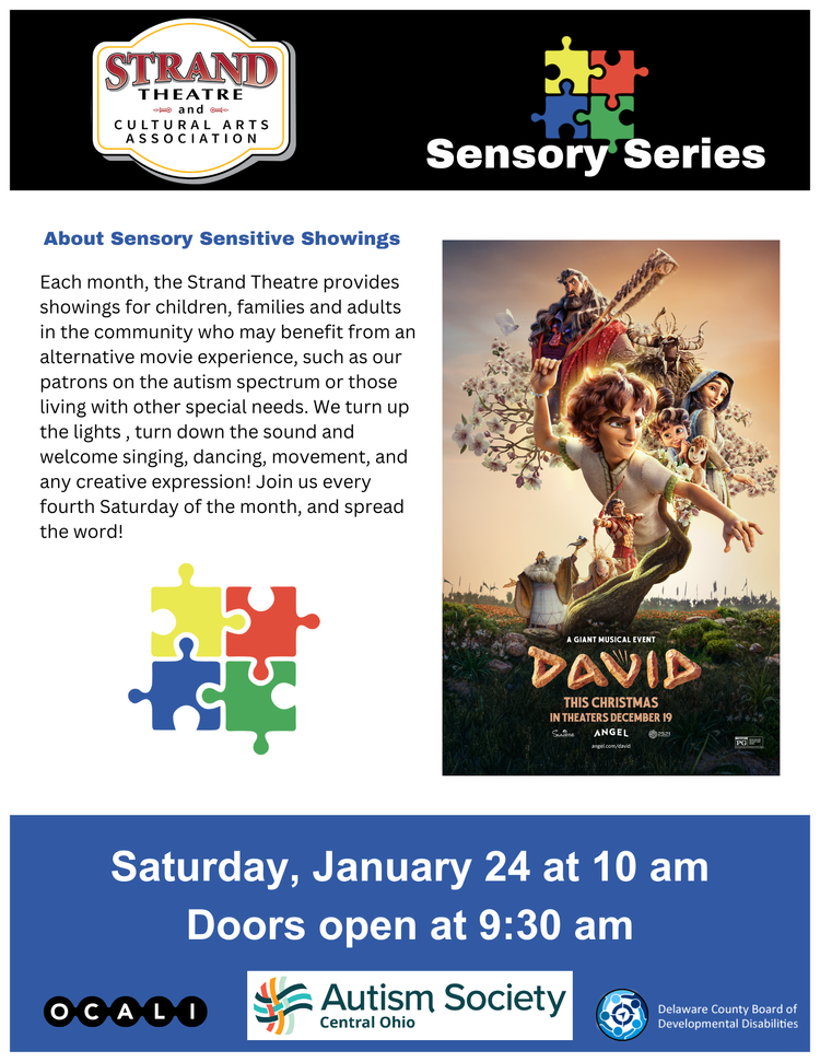 Sensory Series - David — The Strand Theatre