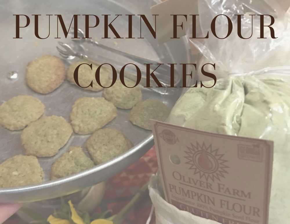 Pumpkin Flour — Oliver Farm Artisan Oils