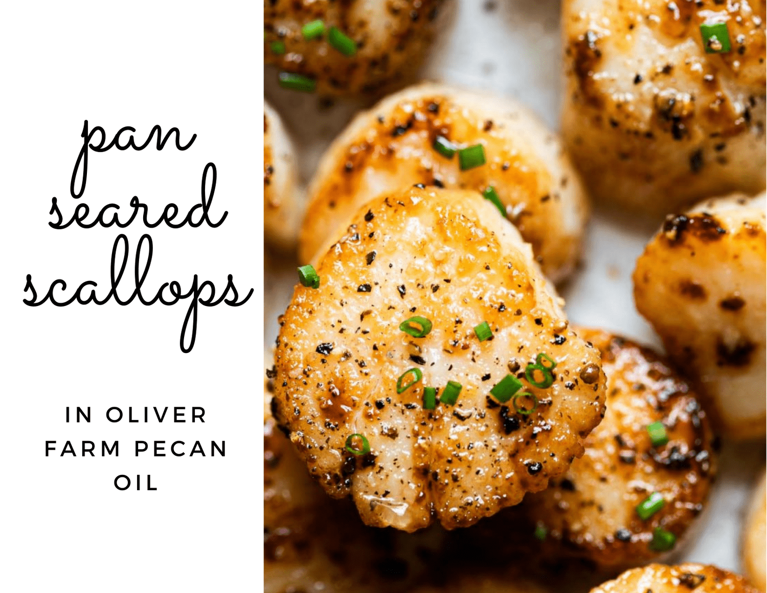 Pecan Oil — Oliver Farm Artisan Oils