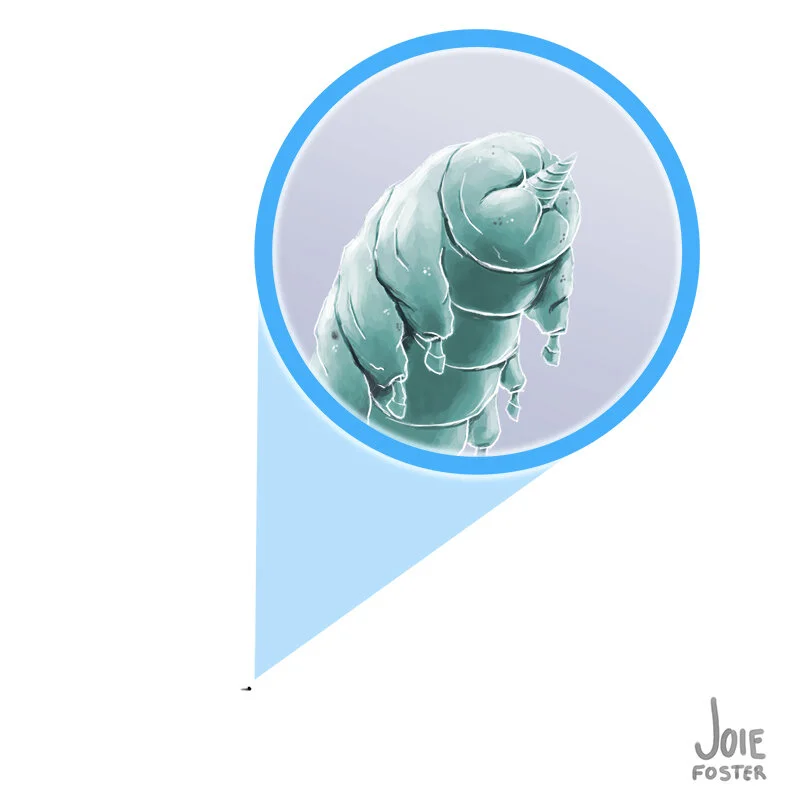 Joie Foster - Storyboard Artist