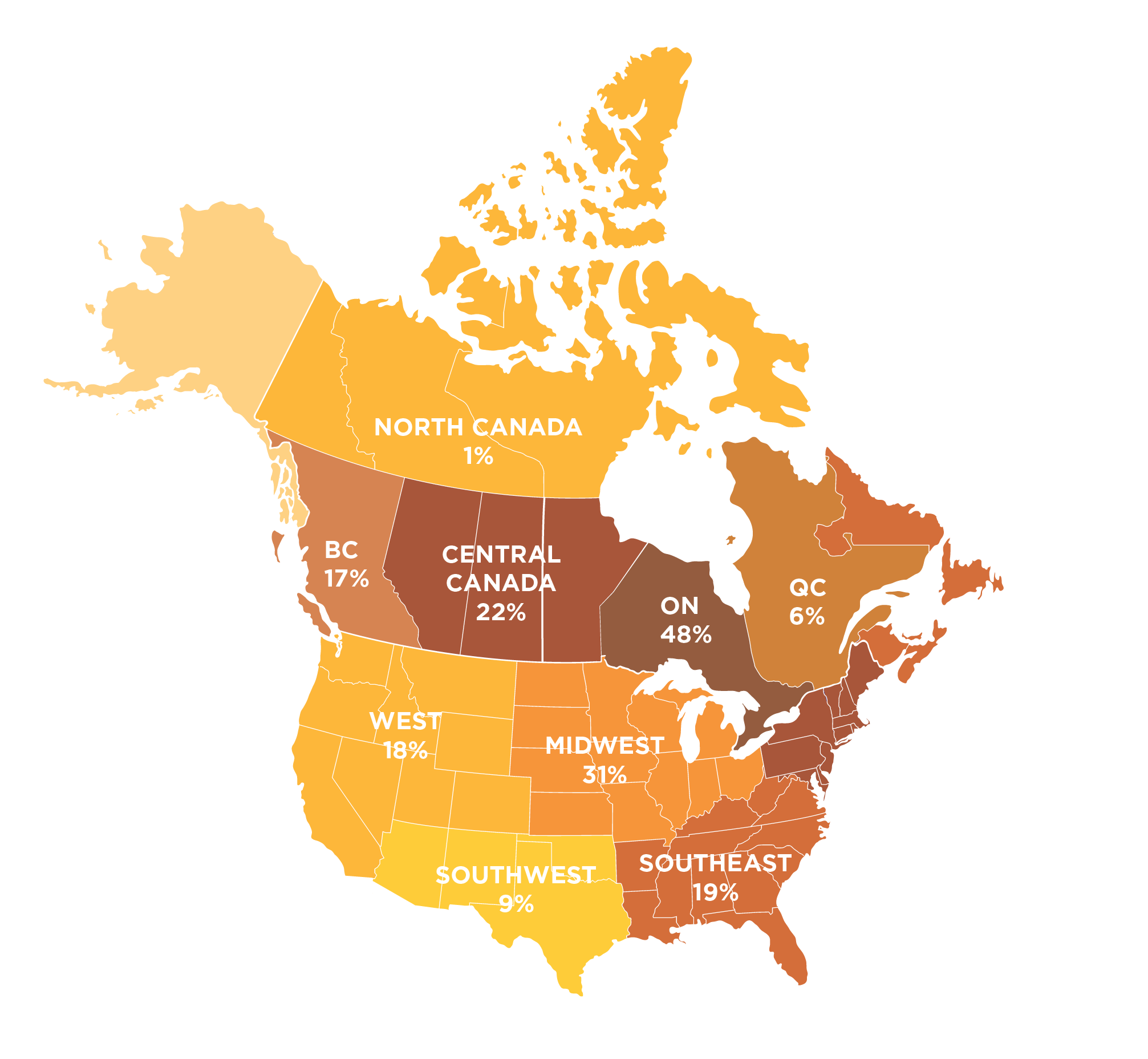 Construction in Focus