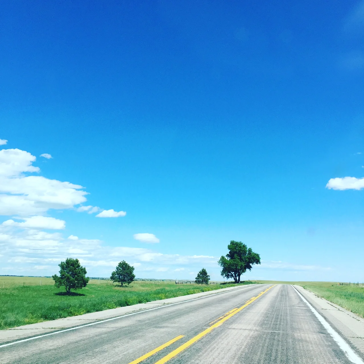 Leaving the Familiar — Book Guide - Tonia Jenny