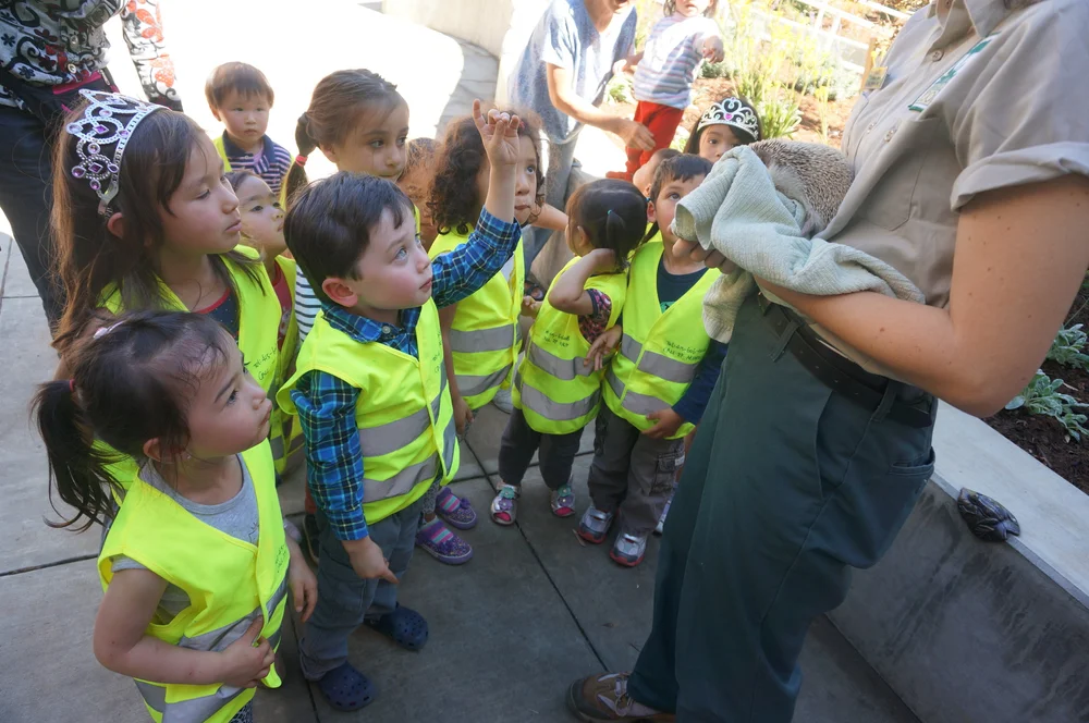 Fun With Mandarin Preschool and Daycare San Francisco