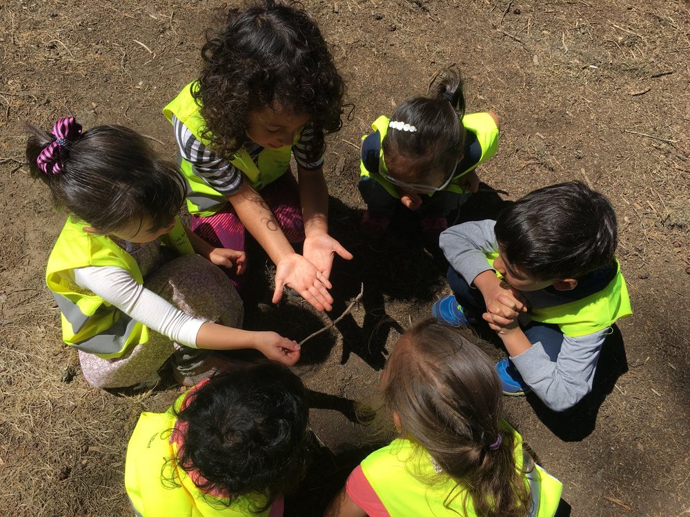 Fun With Mandarin Preschool and Daycare San Francisco