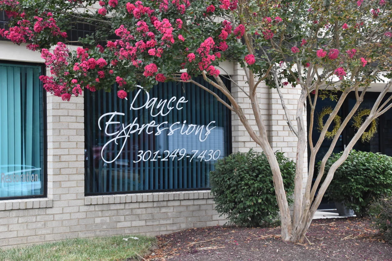 Dance Expressions Inc