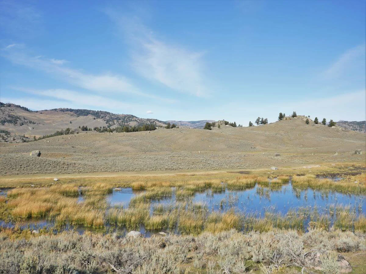 Best 4 Days in Yellowstone Itinerary for Your First Time at the ...