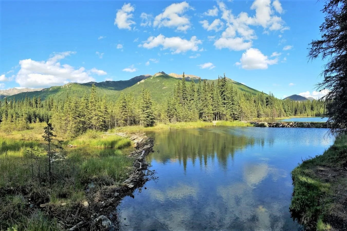 National Parks | Discover & ExploreNow — Harbors & Havens