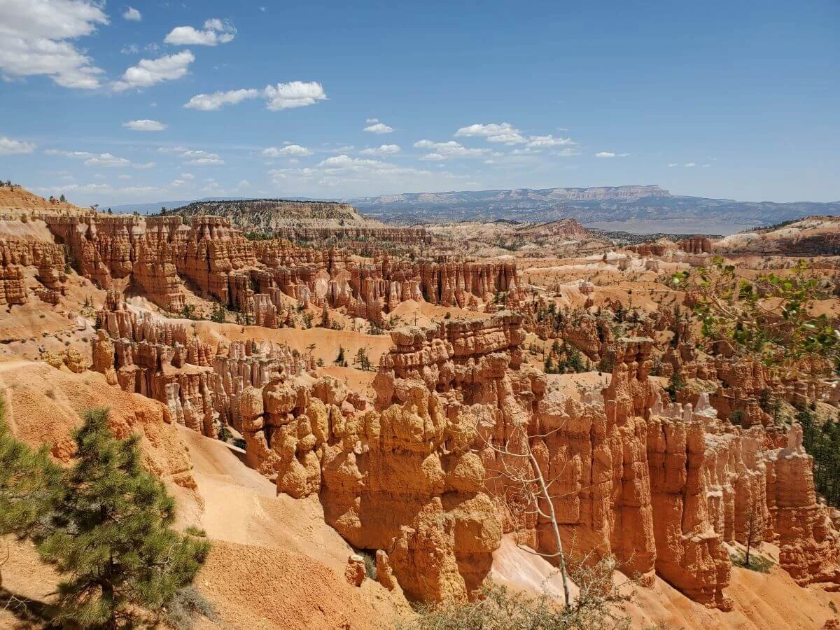 How to Plan the Best Zion to Bryce Canyon Road Trip Itinerary — Harbors ...