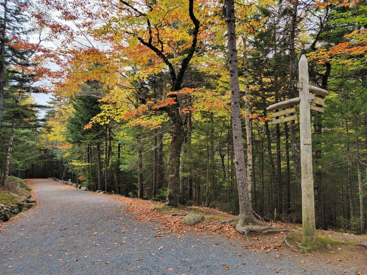 10 of the Best Fall Staycation Ideas This Year — Harbors & Havens