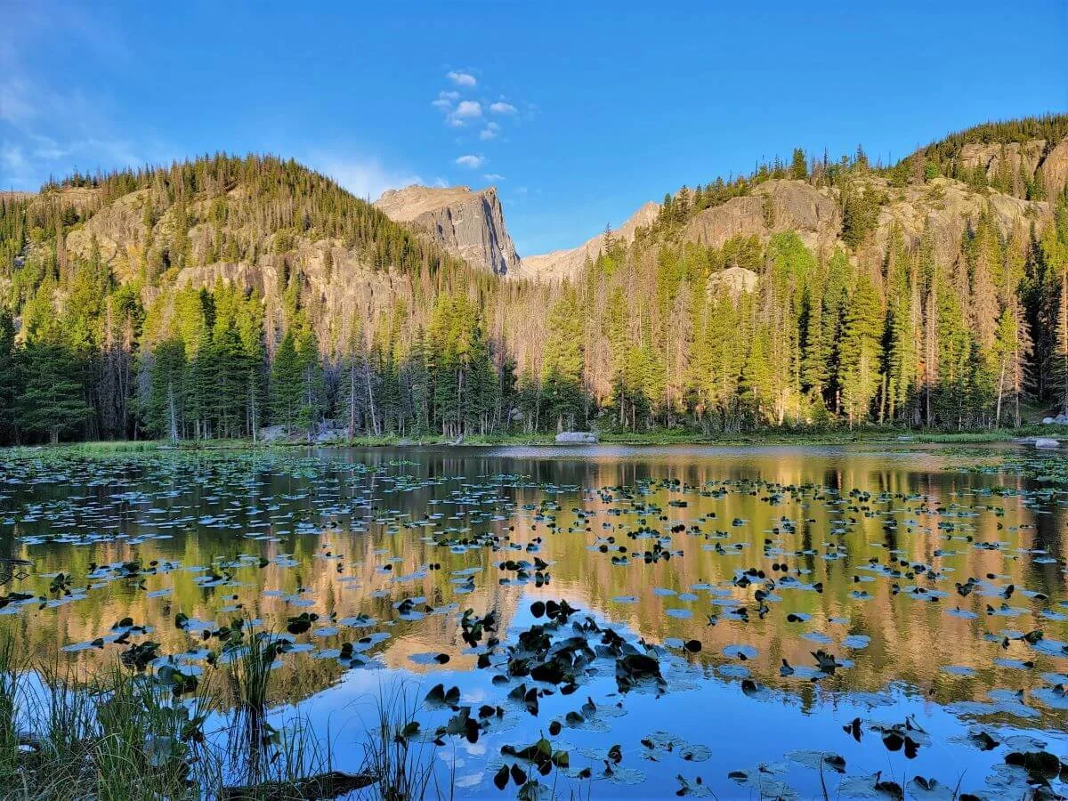 These are the Most and Least Popular National Parks in the United ...