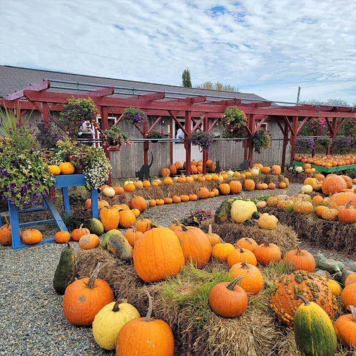 10 of the Best Fall Staycation Ideas This Year — Harbors & Havens