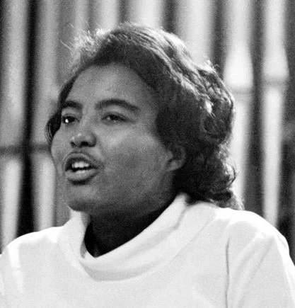 From Civil Rights to Black Power: The Significance of the 1965-66 ...