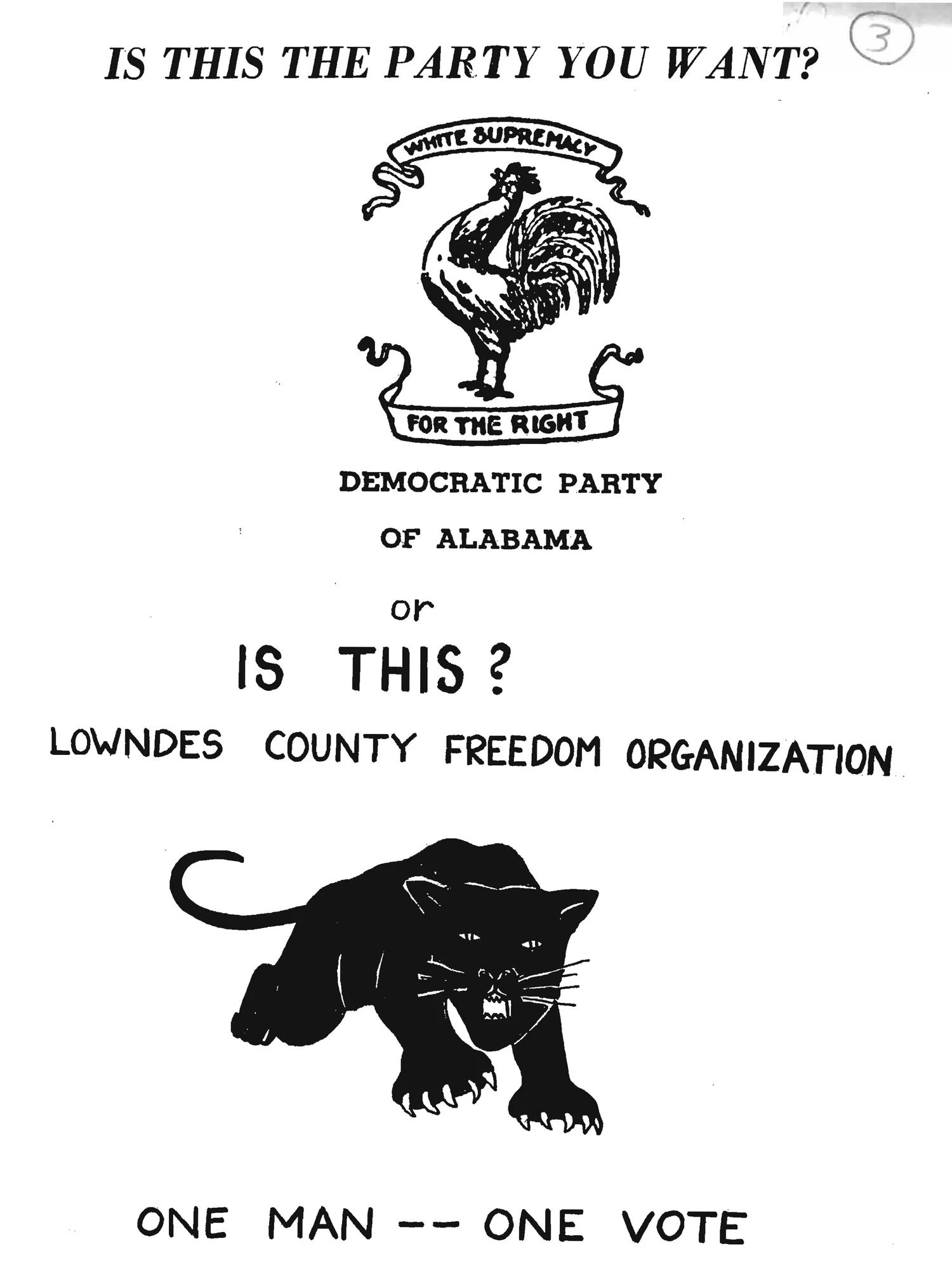 How the Black Panther Party Was Organized — Civil Rights Teaching