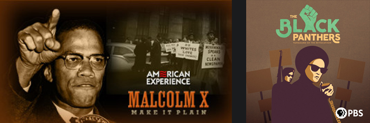 Black Power — Civil Rights Teaching