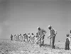 The Great Land Robbery: The shameful story of how 1 million black ...