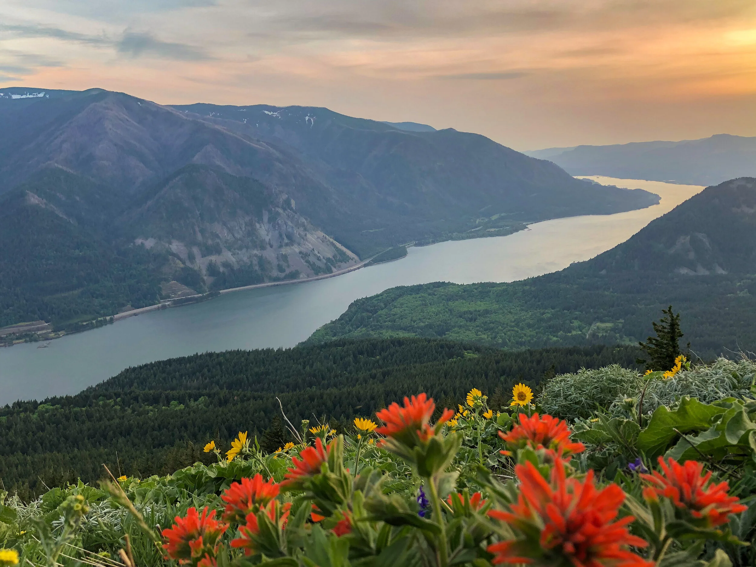 When Can You Hike Dog Mountain