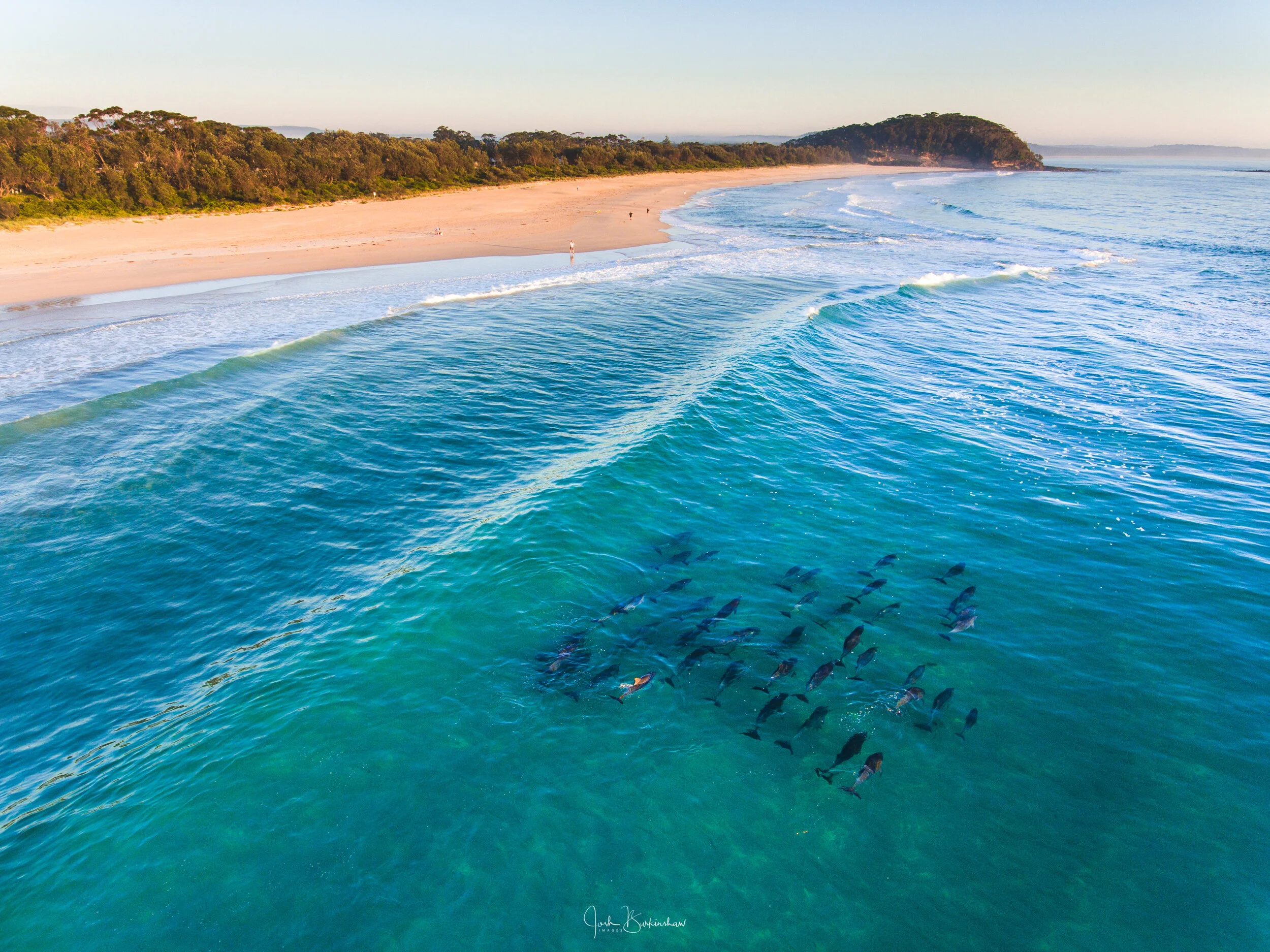Narrawallee Dolphins Top Down Landscape — Josh Burkinshaw Images ...