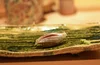 Nishin (鯑 / herring) — The Sushi Geek