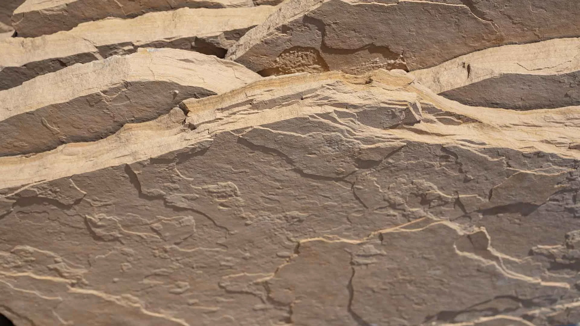 C&C Sand and Stone Co. Landscape Materials, Stone & Stucco in Colorado