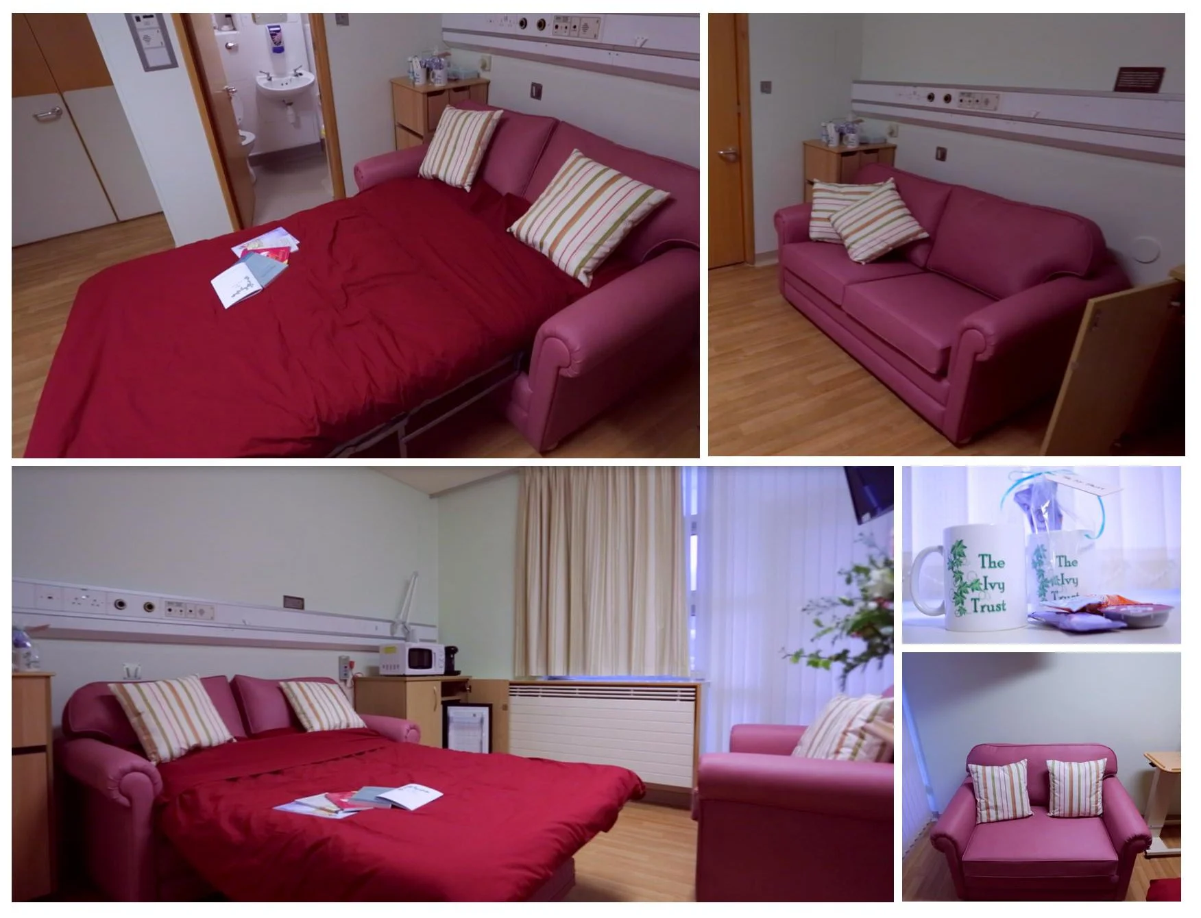 Maintaining the Ivy Room — The Ivy Trust