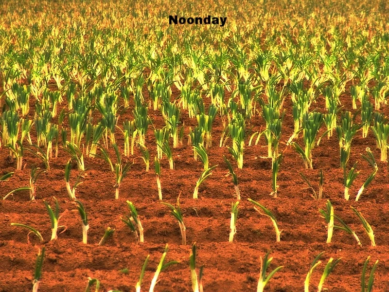 Blog —City of Noonday