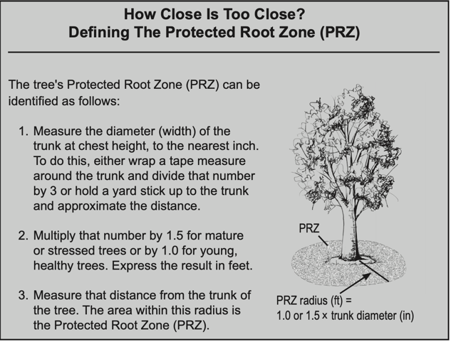 Chop Nashville Tree Service