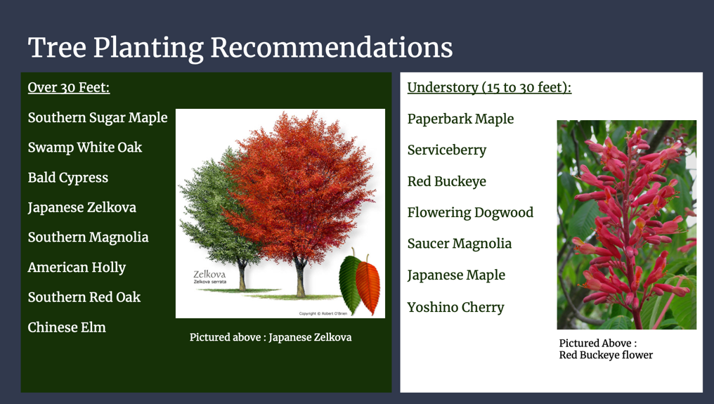 Chop Nashville Tree Service