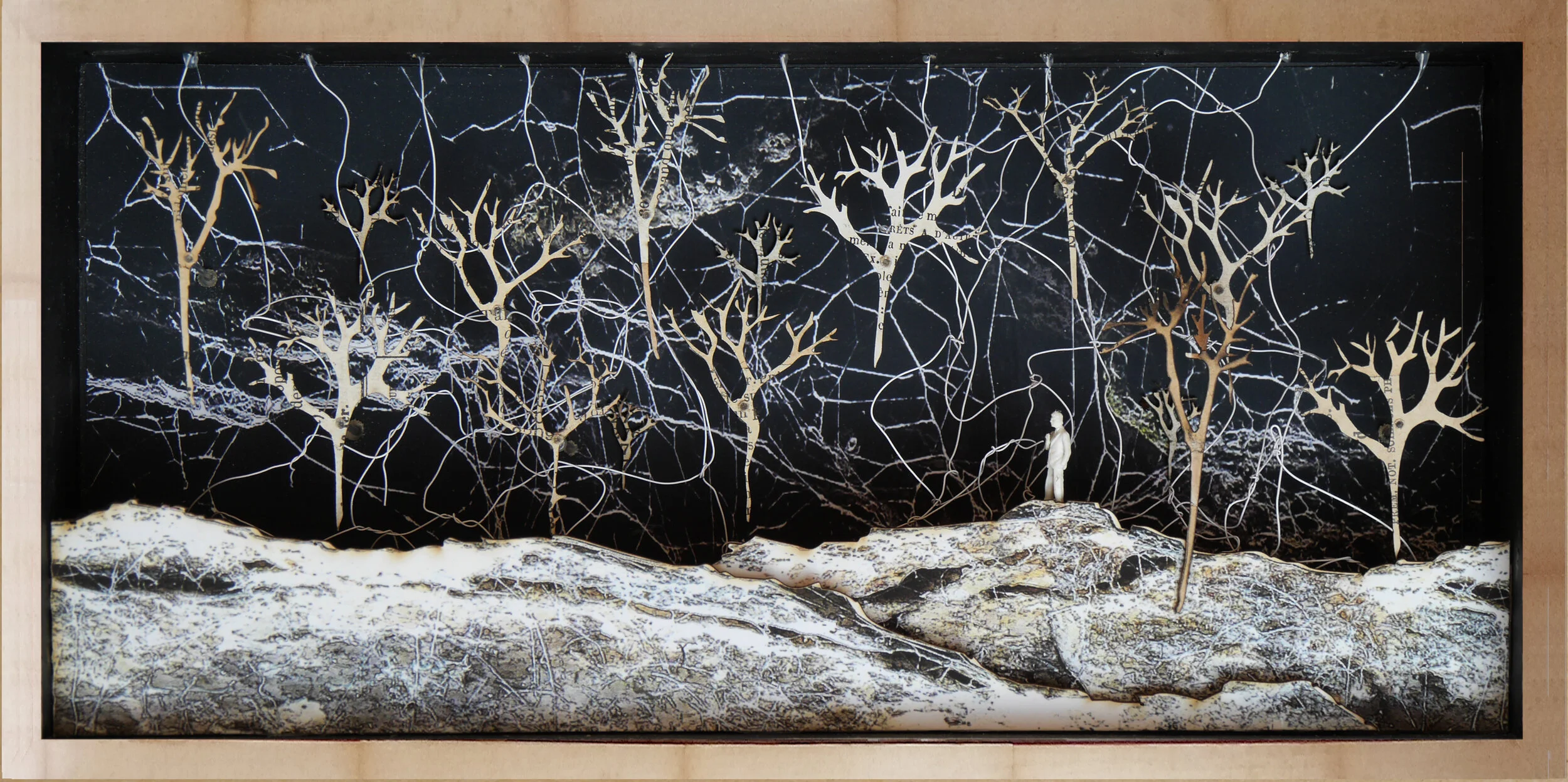 Recent Works — Frances Bloomfield