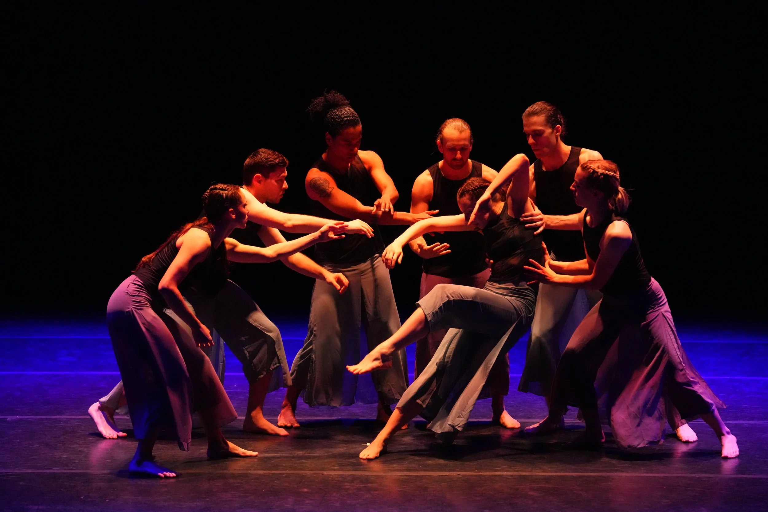 Spring Season 2024 — ACPW