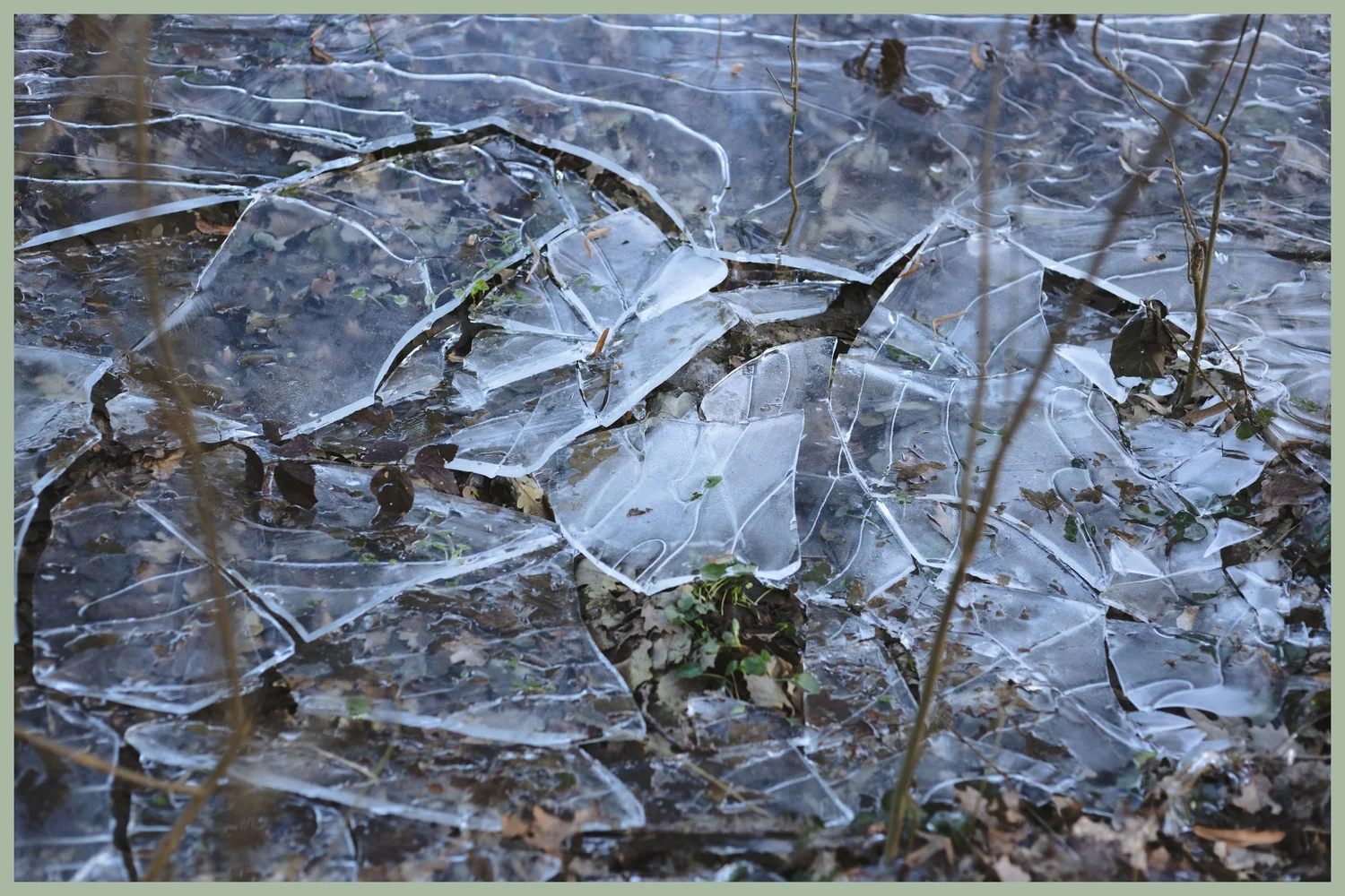 Spring Thaw — Love Song to My Life