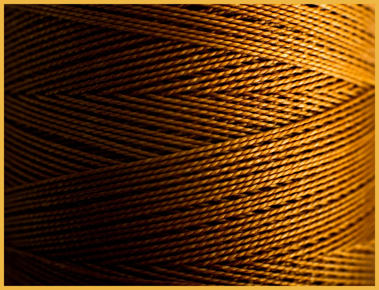 The Thread of Life — Love Song to My Life