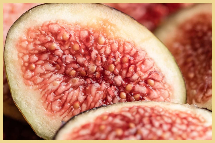 Blogs — Love Song to My Life