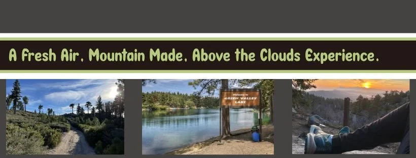 Run New Years Race (December) — Caren Ware Events