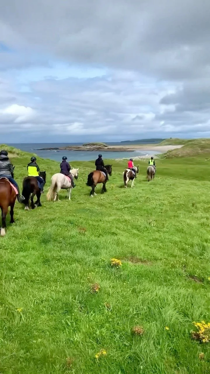 Ireland Equestrian Tours