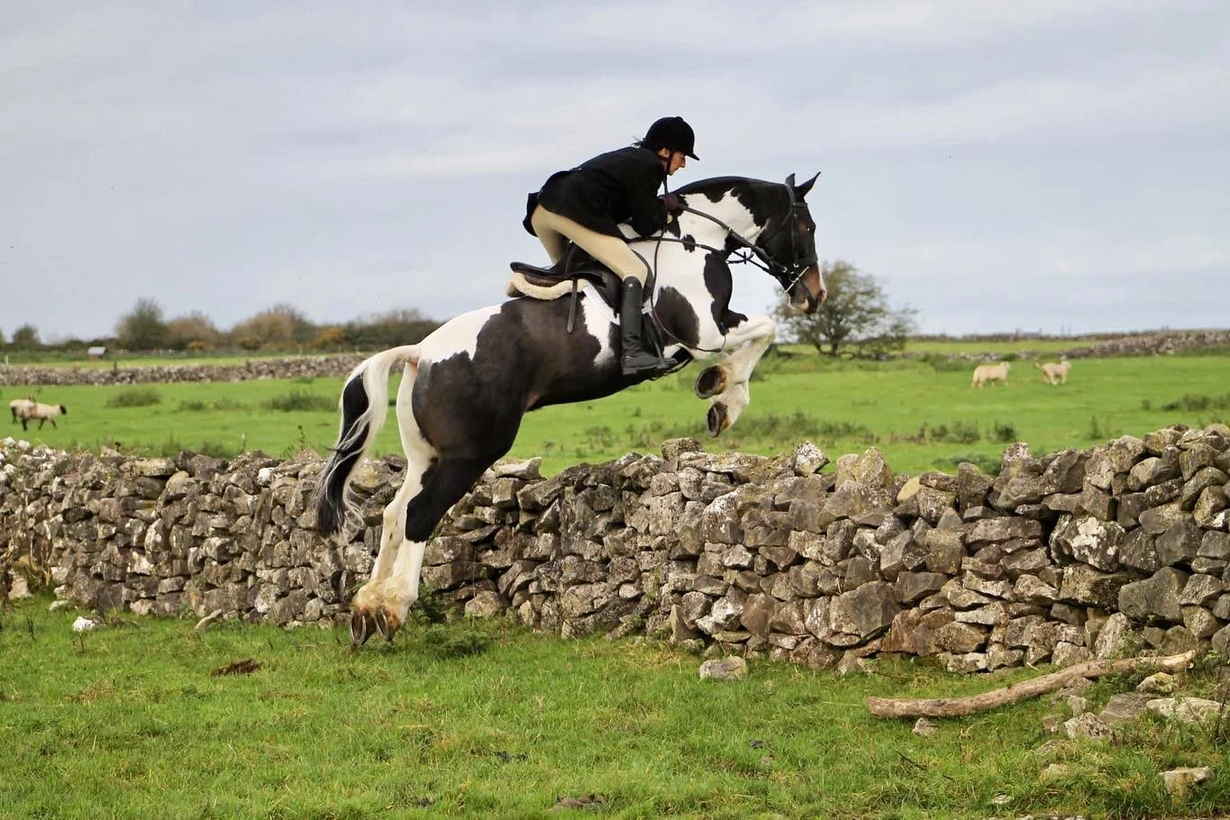 Ireland Equestrian Tours
