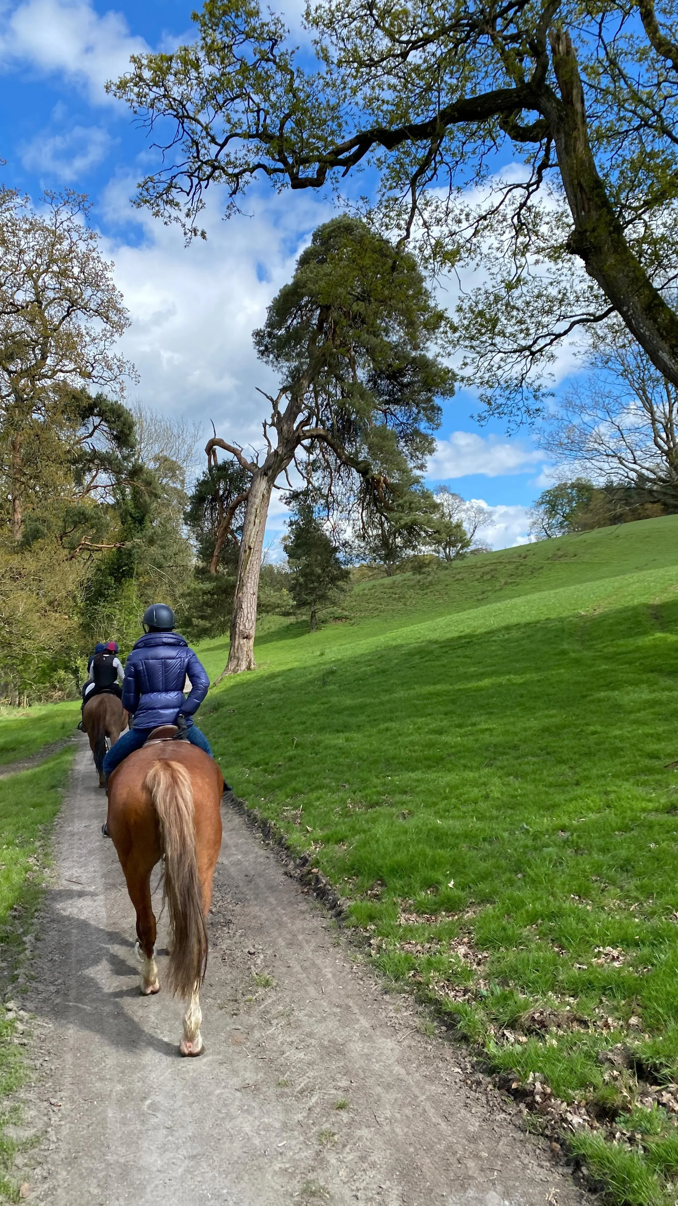 Ireland Equestrian Tours