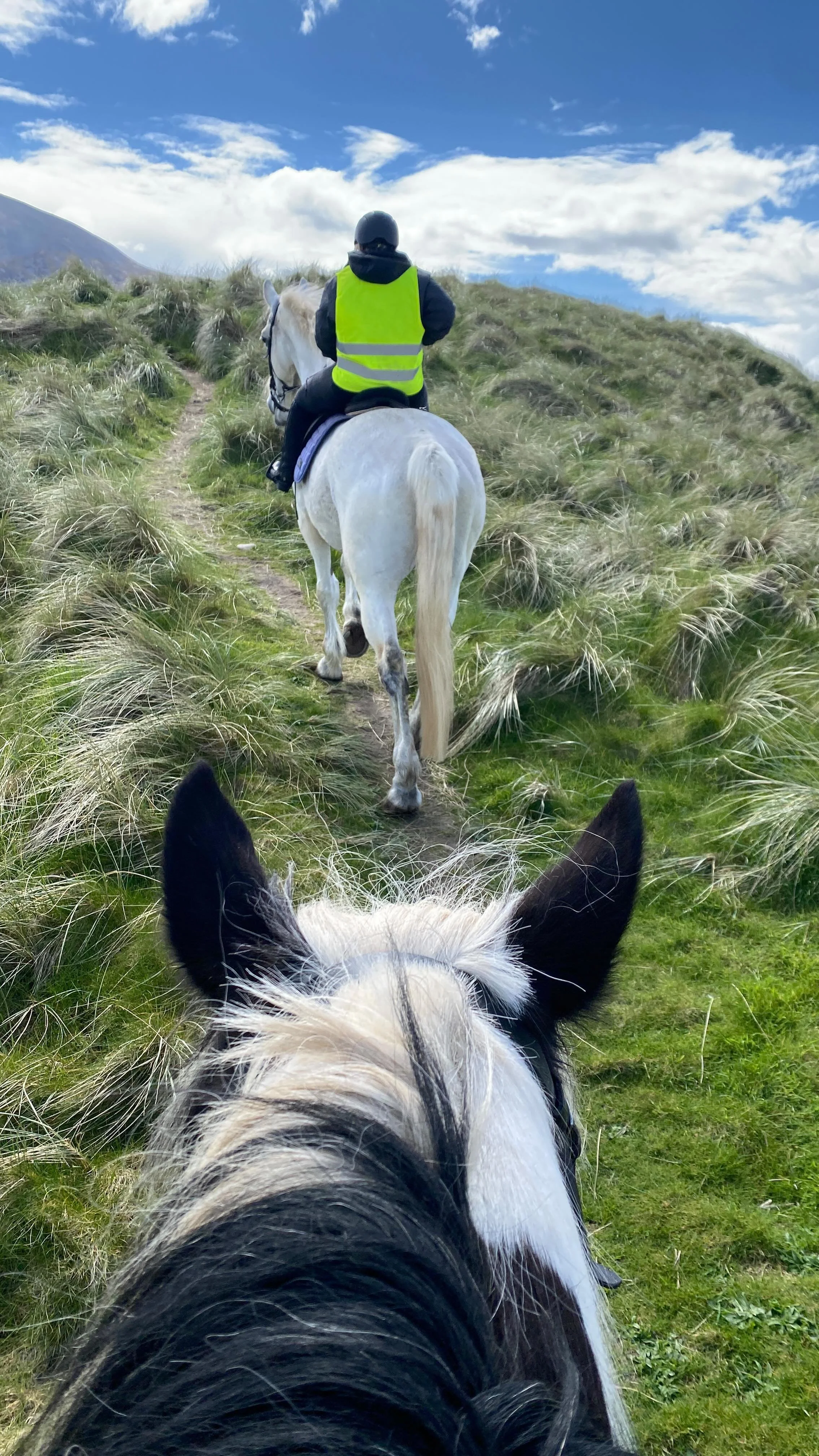 Ireland Equestrian Tours