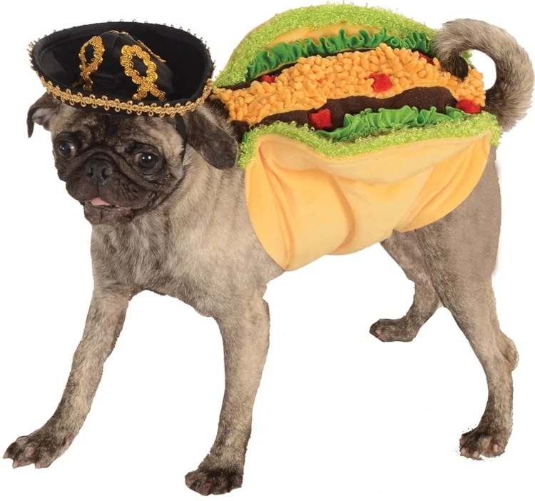 CAN PUGS EAT TACOS? FIND OUT! — ILLUSTRATOR / WIZARD / WEIRDO