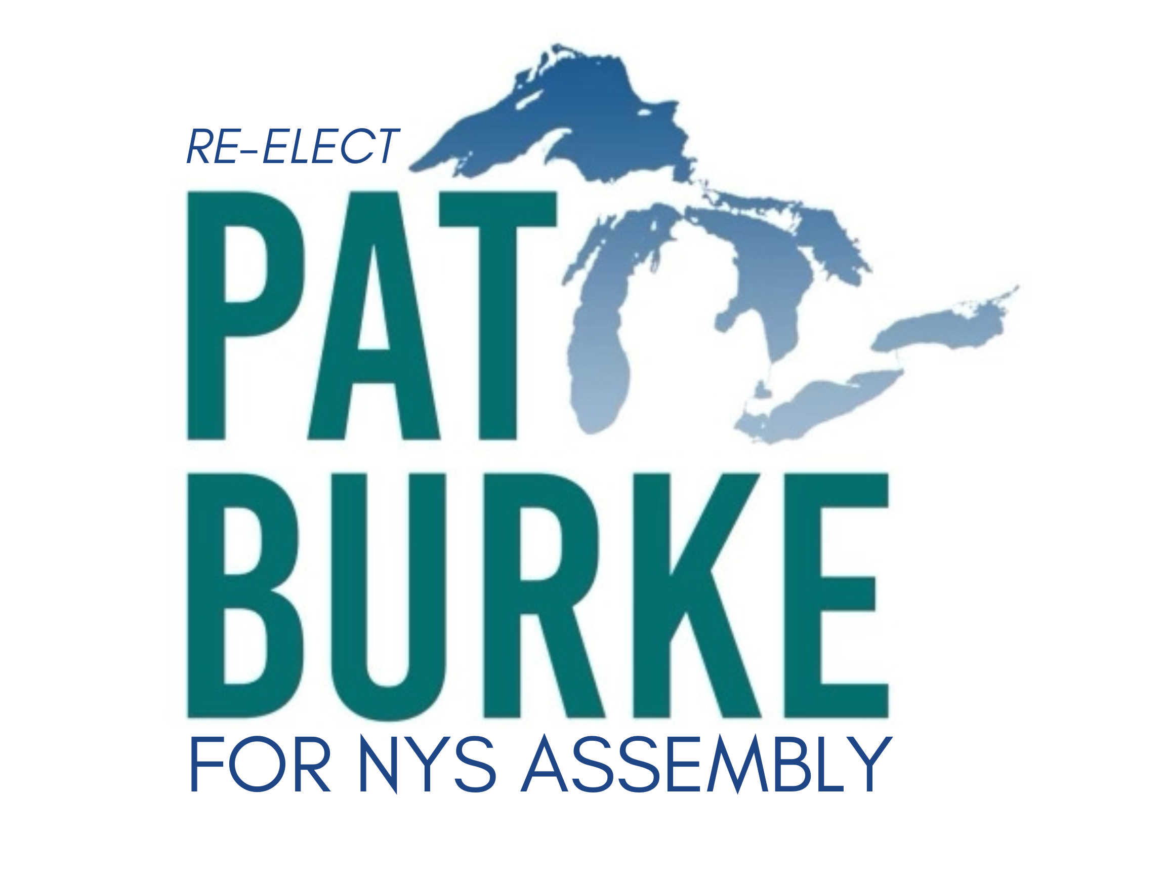 The Issues — Pat Burke for NYS Assembly