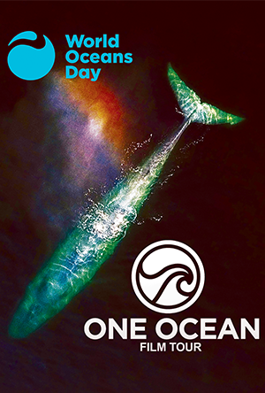 Adventure Entertainment